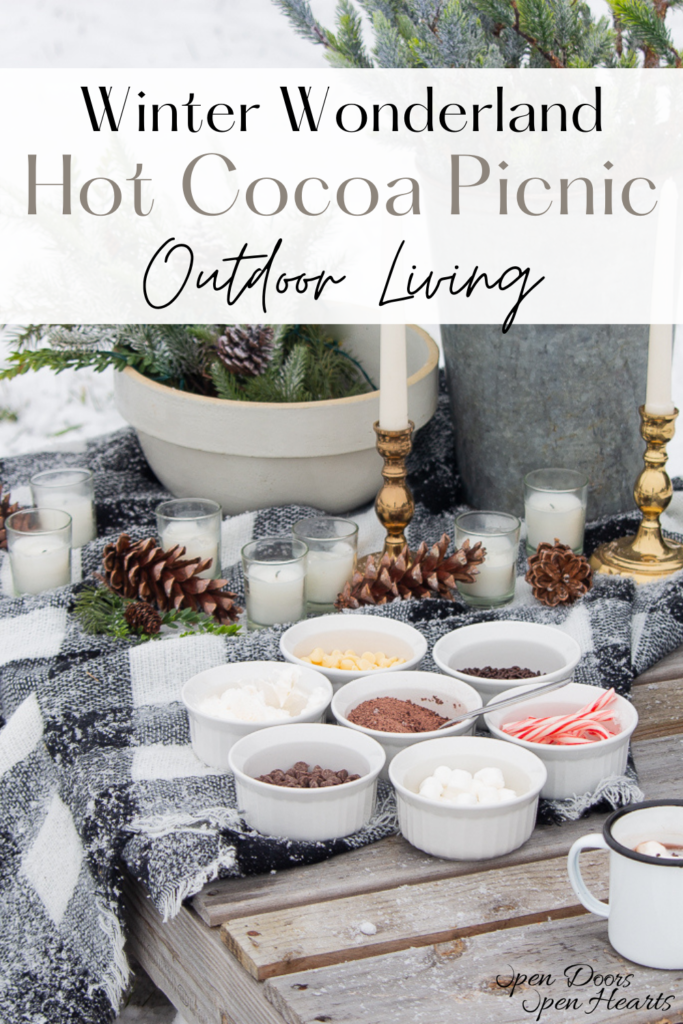 The Best Hot Cocoa Picnic| In the Snow - Open Doors Open Hearts