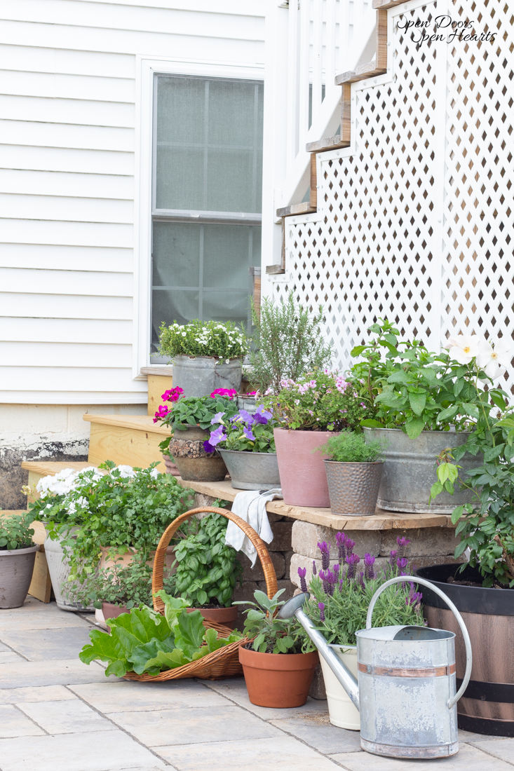 Modern Garden Design Container