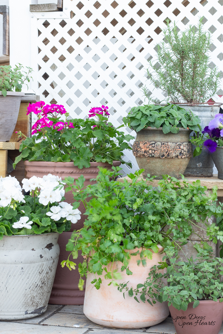 English Kitchen Garden Containers